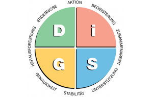 Disg-Modell - echt. coaching Heidelberg